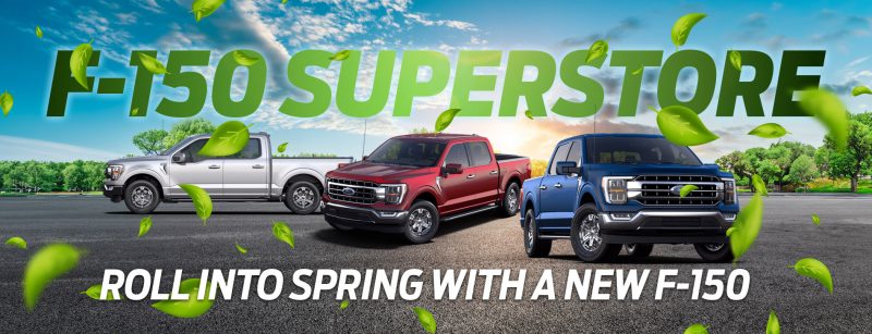 F150 Line Up | Maclin Ford