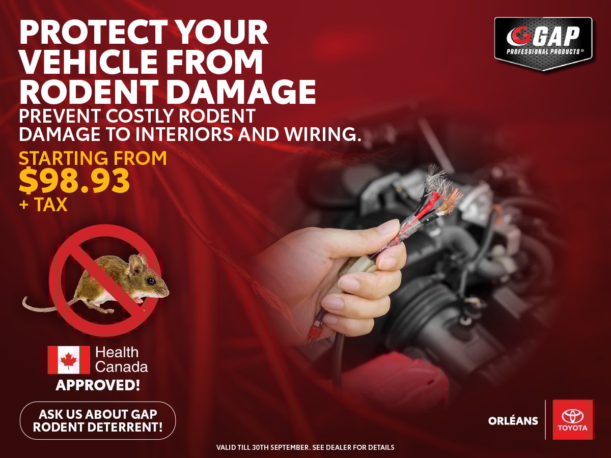 Prevent Costly Rodent Damage To Your Toyota | Orleans Toyota Ottawa