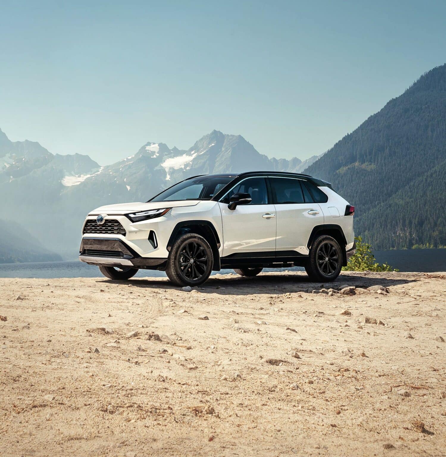 Toyota Electrified Vehicles | Sherwood Park Toyota